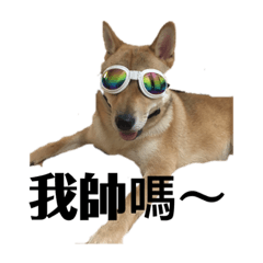 Oba handsome dog two – LINE stickers | LINE STORE