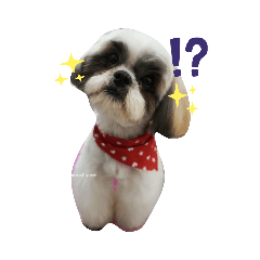 polin_20200513212508 – LINE stickers | LINE STORE