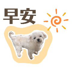 Shu Yu – LINE stickers | LINE STORE