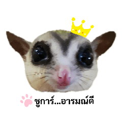 Mad Rabbit_20200519202029 – LINE stickers | LINE STORE