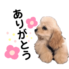 Koharu-Coro-Chan – LINE貼圖 | LINE STORE