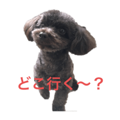 komo_20200609223141 – LINE stickers | LINE STORE