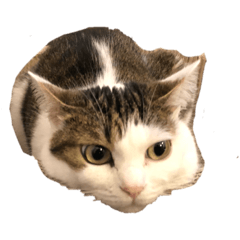 JJJ JJJ＠ - LINE スタンプ | LINE STORE