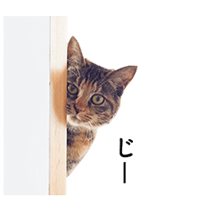 Chacha and sometimes Nene – LINE stickers | LINE STORE