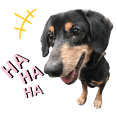 yu_li_20200622205656 - Stiker LINE | LINE STORE