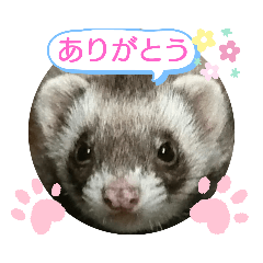 m & Qoo – LINE stickers | LINE STORE