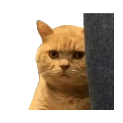 Shocking Cats - Stiker LINE | LINE STORE