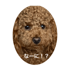 Saki_20200627234726 – LINE stickers | LINE STORE