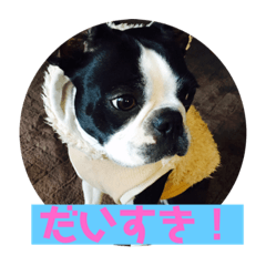 yokoyoko_20200629201112 – LINE stickers | LINE STORE