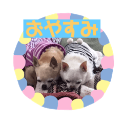 meg_20200630224859 – LINE stickers | LINE STORE