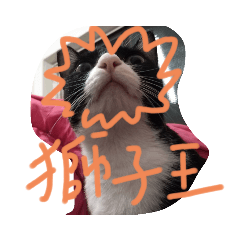 123_20200630153945 - Stiker LINE | LINE STORE