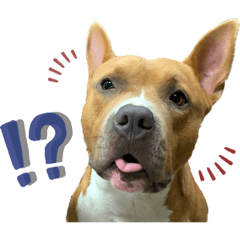 Le_xyi. – LINE stickers | LINE STORE