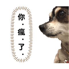 Kiki the dog ! – LINE stickers | LINE STORE