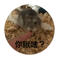 yyybbb.__20200707185541 – สติกเกอร์ LINE | LINE STORE