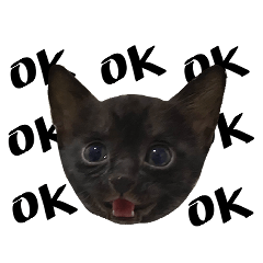 tantanmao – LINE貼圖 | LINE STORE