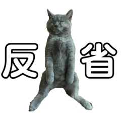 unichan_20200714174515 - Stiker LINE | LINE STORE