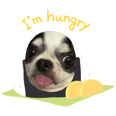 kenji and gober – Stickers LINE | LINE STORE