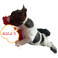 pankun_20200719172937 - Stiker LINE | LINE STORE