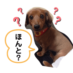 mei_20200720194336 – LINE stickers | LINE STORE