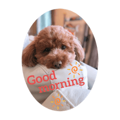 emi_20200723211048 – LINE stickers | LINE STORE