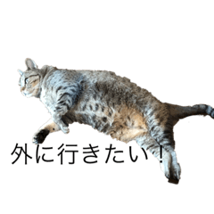 Red stone valley Family - LINE スタンプ | LINE STORE