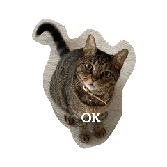 soma_fox_20200724143323 | Yabe-LINE貼圖代購 | 台灣No.1，最便宜高效率的代購網