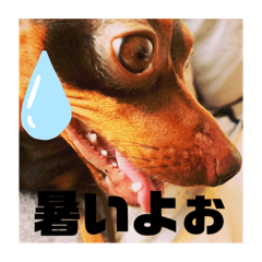 mmmkm_20200 – LINE stickers | LINE STORE