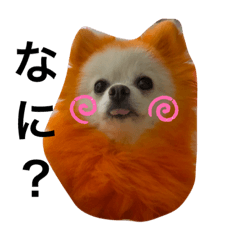 nnk._20200801164255 – LINE貼圖 | LINE STORE