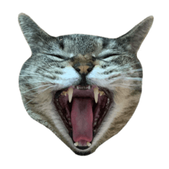 sae_20200802111054 – LINE stickers | LINE STORE