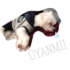 Chapin_20200802212302 – LINE stickers | LINE STORE