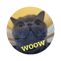 vivi_20200803231405 – LINE stickers | LINE STORE