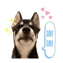 moo err ayy! - LINE スタンプ | LINE STORE