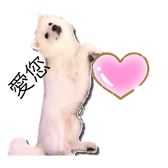 Douli&Douzi - Hey Bro – LINE stickers | LINE STORE