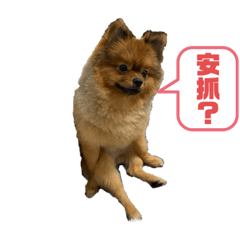 Gadi_20200826004206 - Stiker LINE | LINE STORE