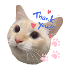 yuri_20200826215509 – LINE stickers | LINE STORE