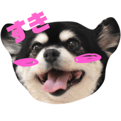 Qoo&Peace – LINE stickers | LINE STORE