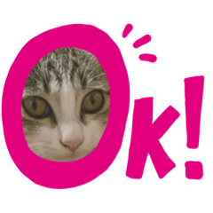 misa_20200901210437 – LINE貼圖 | LINE STORE