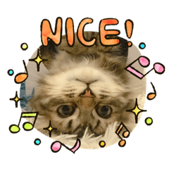 loco stamp 2 – LINE stickers | LINE STORE