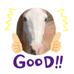 emi_20200902215220 – LINE stickers | LINE STORE