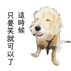 Sharon_20200902210425 – LINE stickers | LINE STORE