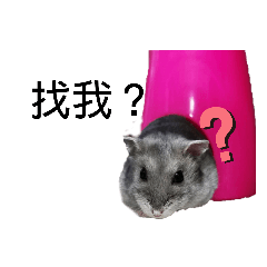 sunkist_20200909220852 – LINE stickers | LINE STORE