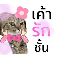 car simba 2 – LINE stickers | LINE STORE