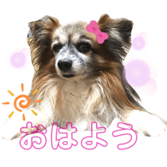 Linoma. – Stickers LINE | LINE STORE