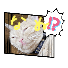 moonon_20200926051546 – สติกเกอร์ LINE | LINE STORE