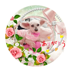 emi_20200928170026 – LINE stickers | LINE STORE