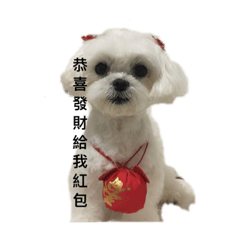 Super Niu Niu – LINE stickers | LINE STORE