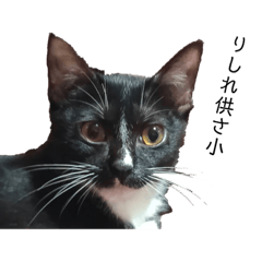 Blablabla_20201020001742 – LINE stickers | LINE STORE