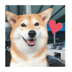 Yueh_20201020125155 – LINE stickers | LINE STORE