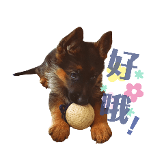 qiaoette_20201023122247 - LINE スタンプ | LINE STORE