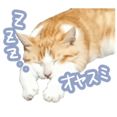 しんのすけのすたんぷ - LINE スタンプ | LINE STORE